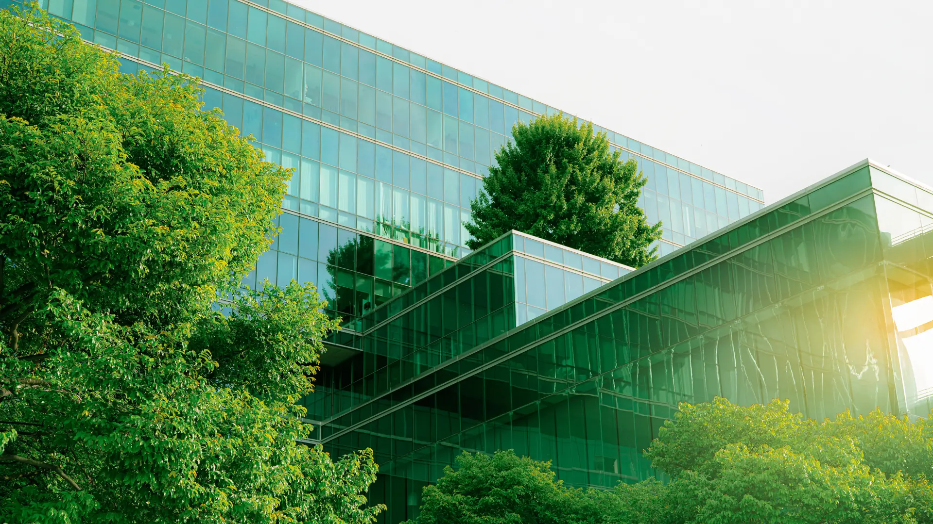 Green Buildings Consultant License in Dubai | Sustainable Business ...