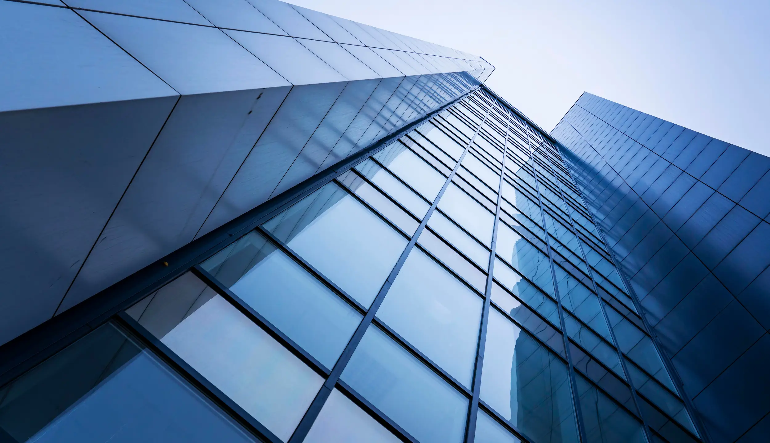 Management Consultancy License in Dubai, UAE | IFZA Dubai